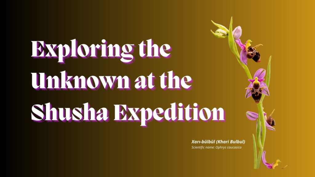 Exploring the Unknown at the Shusha Expedition 2023